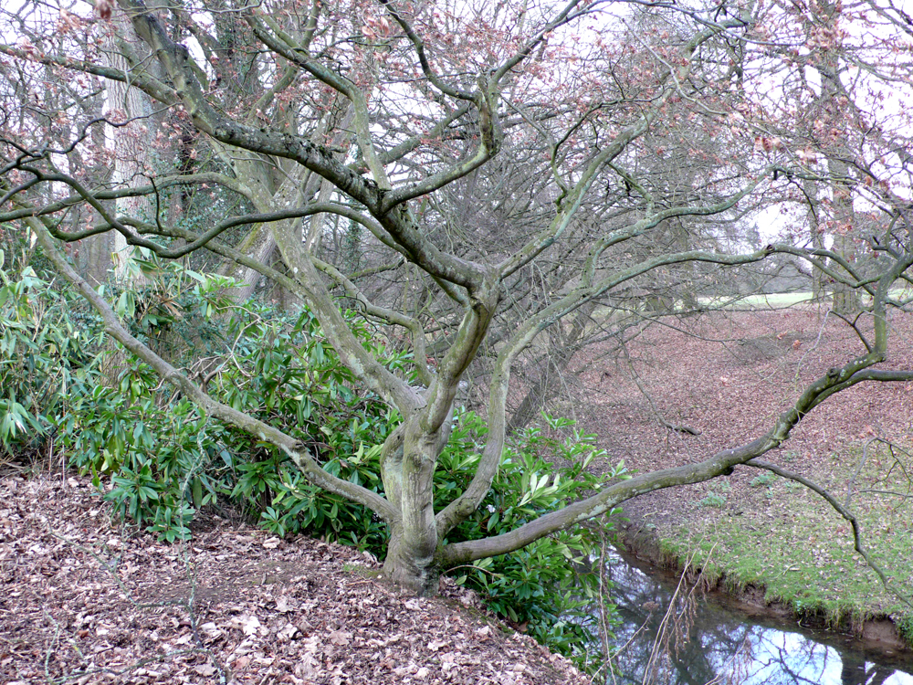 News From Nowhere: January 2012