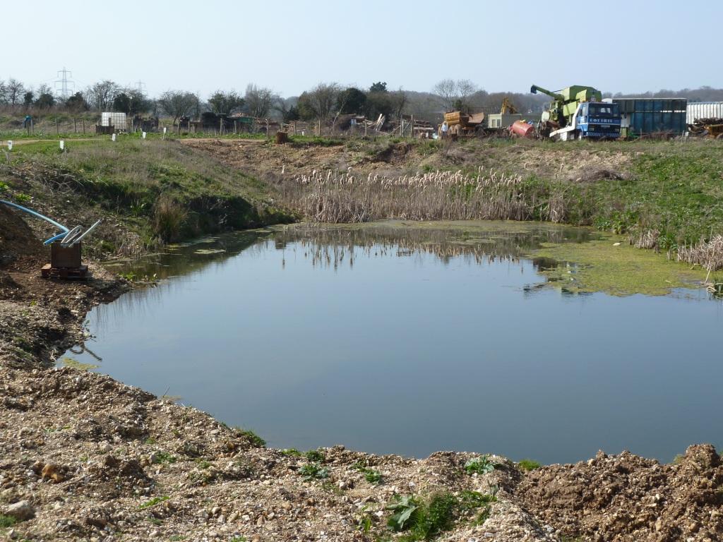 Dave Hubble's ecology spot: Diary of a farm pond: March 2012