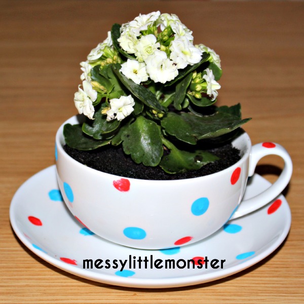 Fingerprint Flower Pot - Messy Little Monster