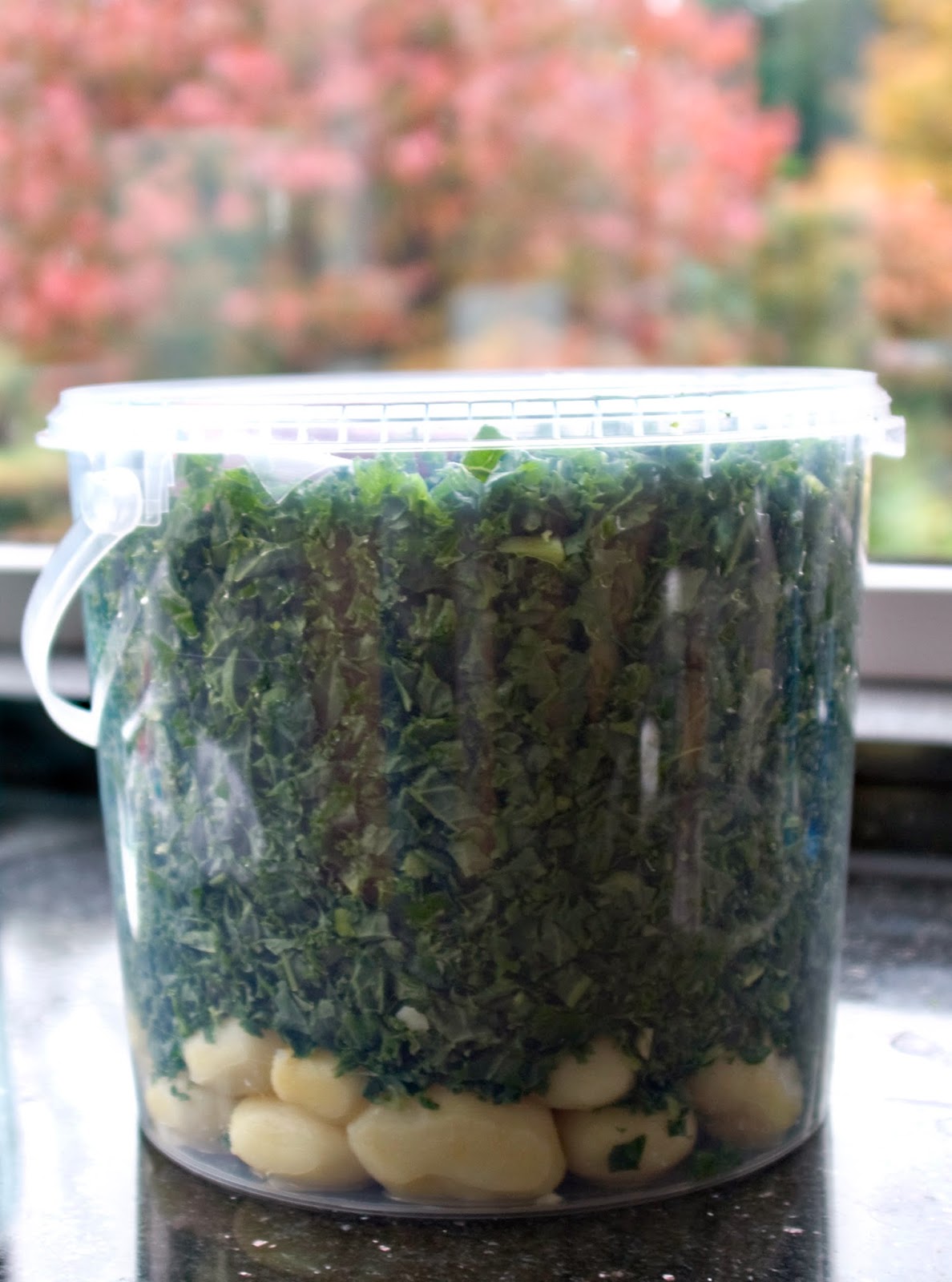 Away We Go Nederlands: An Autumn Recipe - Boerenkool Stamppot