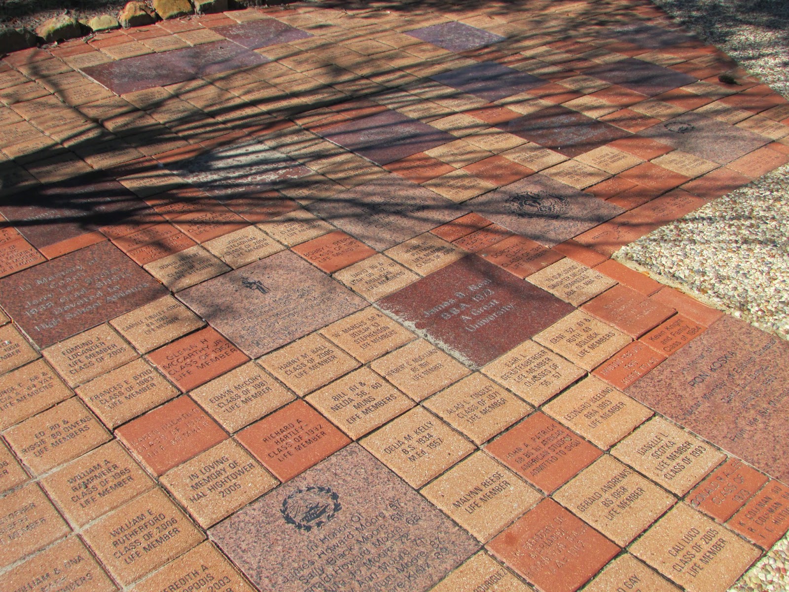 BOTANICAL STUDY on the campus of Sam Houston State University & Museum ...