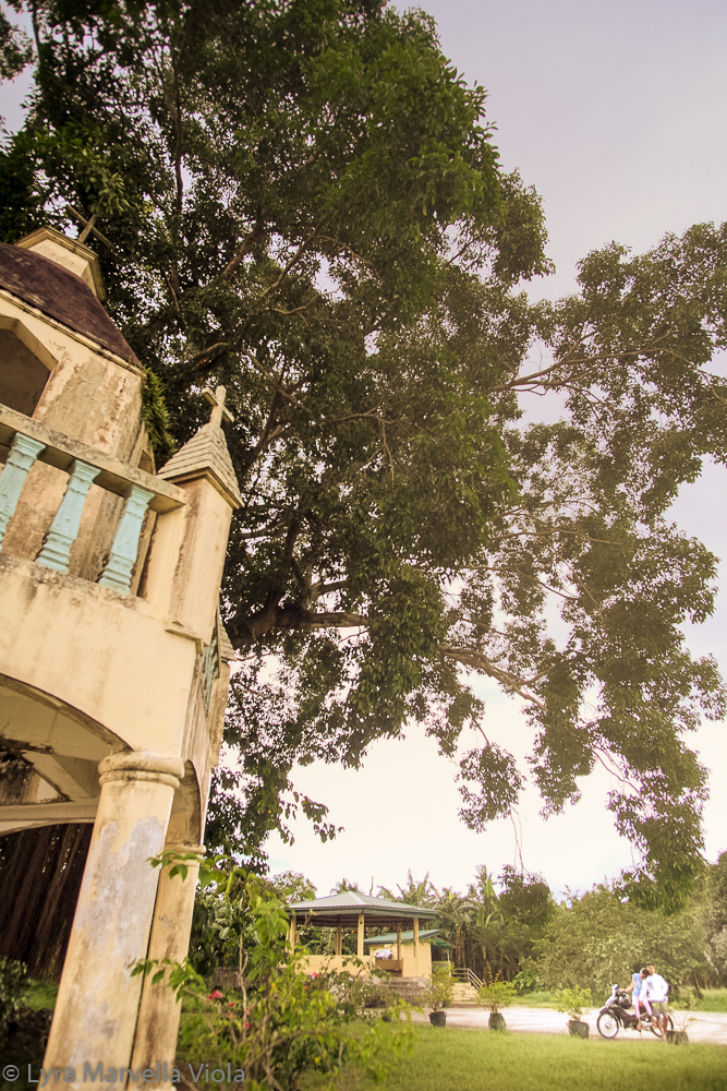 Butuan Daily Photo: Banza Church Ruins # 3: The Balete Tree