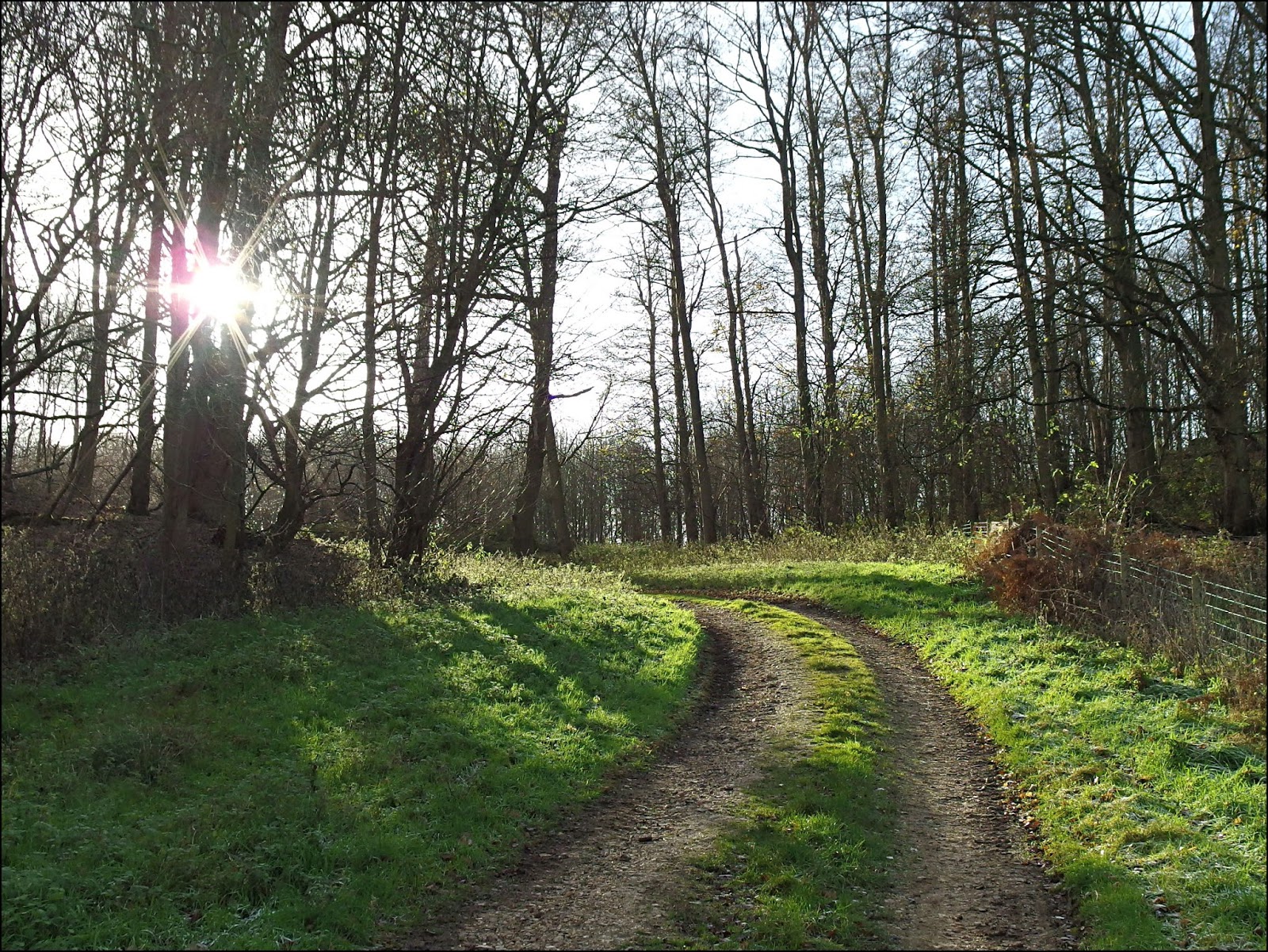 "By Stargoose And Hanglands": The Magic Of Mimram (Part Two)