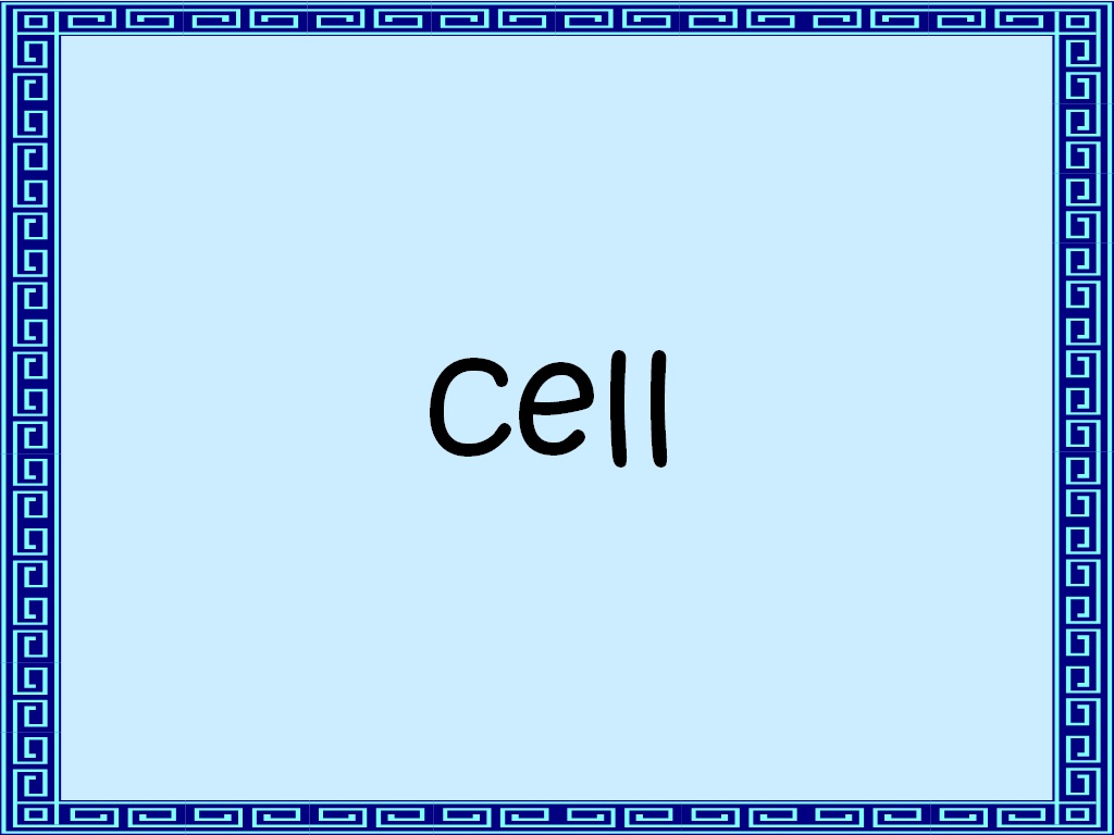 Student Survive 2 Thrive: Free Medical Terminology Flash Cards: Suffixes