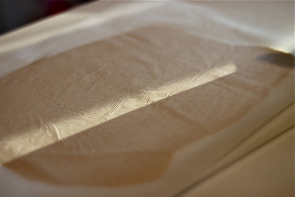 Tips to Making Pretty Royal Iced Holiday Cookies