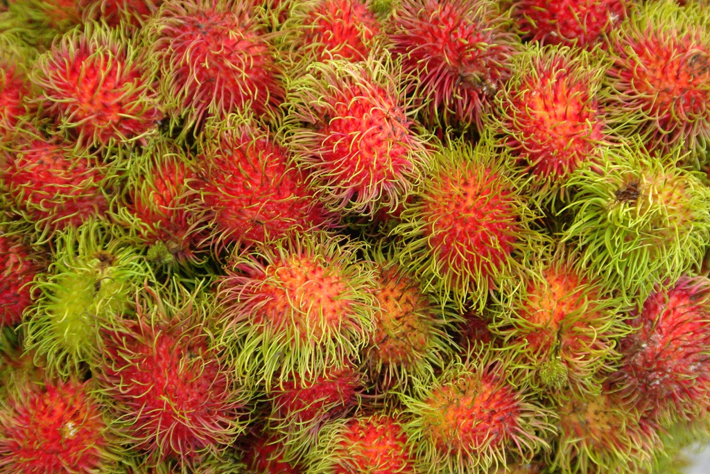 OUR NATURAL REMEDY: Rambutan: The Health Benefits