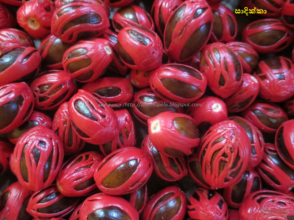 සාදික්කා ~ ප්‍රභාස්වර