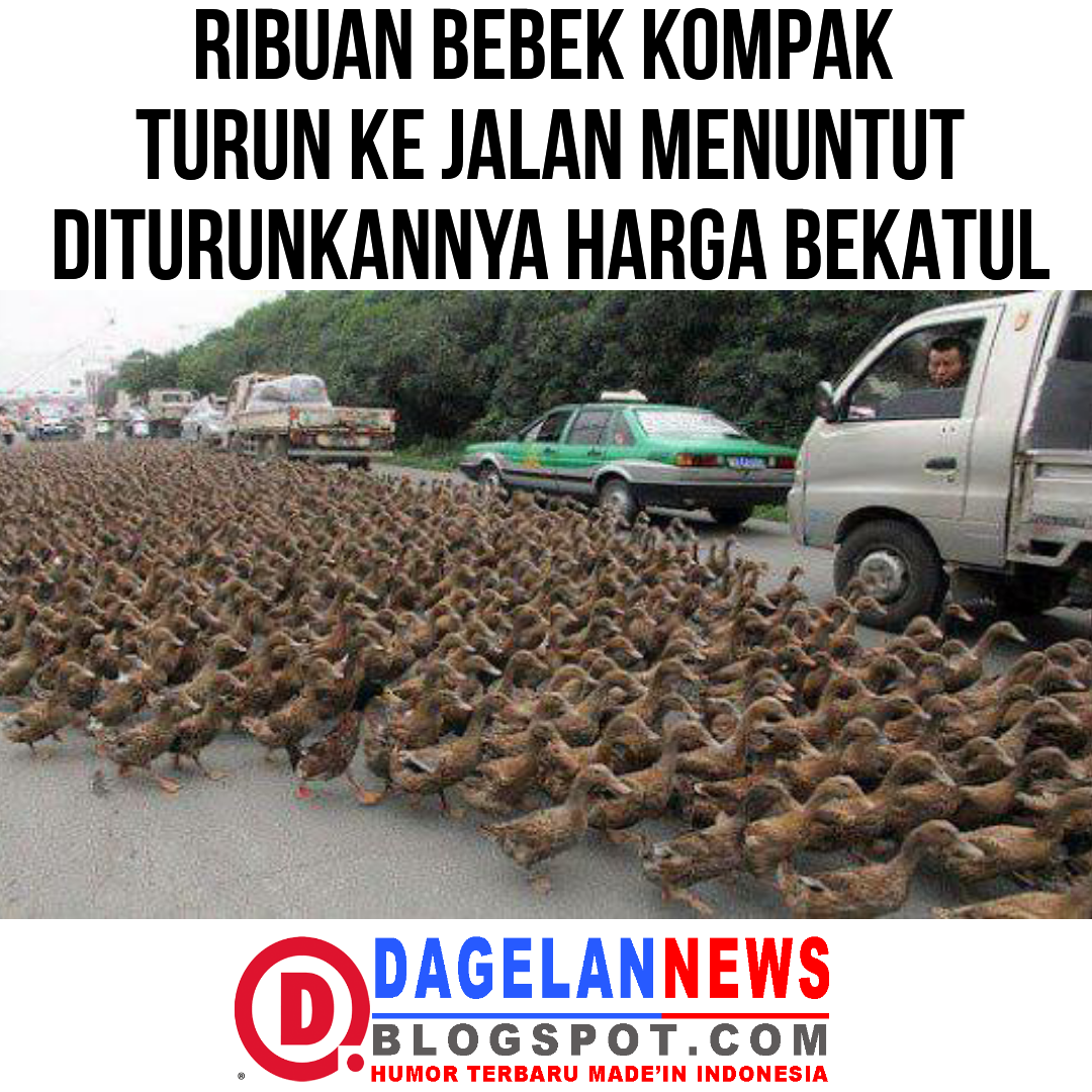 BERITA RINGAN BERGAMBAR PENUH HUMOR - DAGELAN NEWS