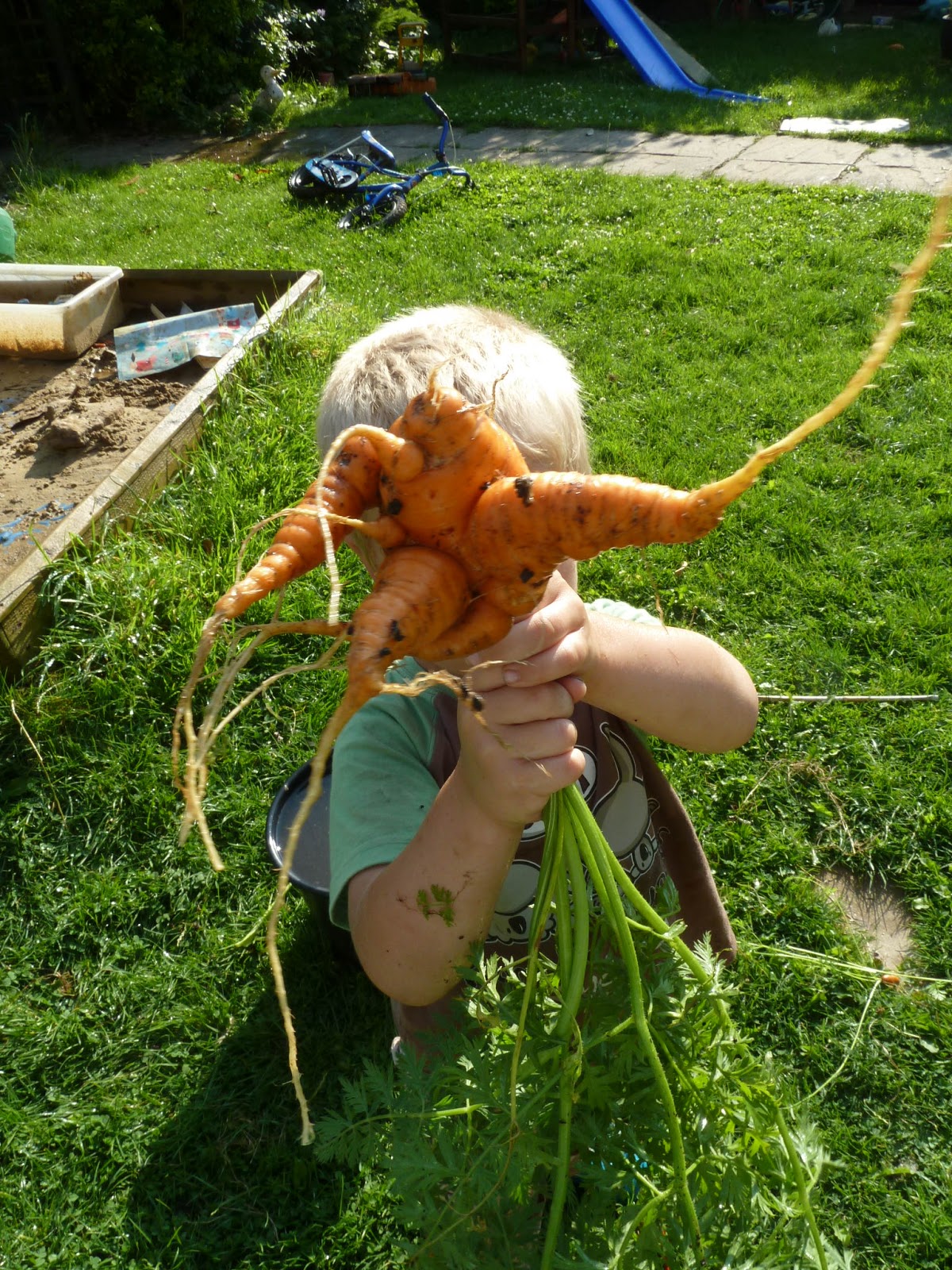 Let's...: Growing stuff.