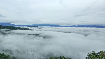 R U N N I N G: Bukit Senaling - Negeri Sembilan