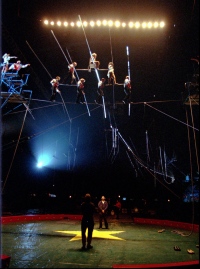 This and That and More of the Same: "The Flying Wallendas"