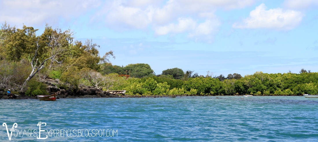 Voyages et Expériences : L'îlot Bernache à l'île Maurice