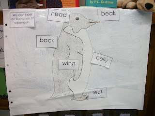 Spotlight on Kindergarten: Anchor charts and Classroom charts Galore!