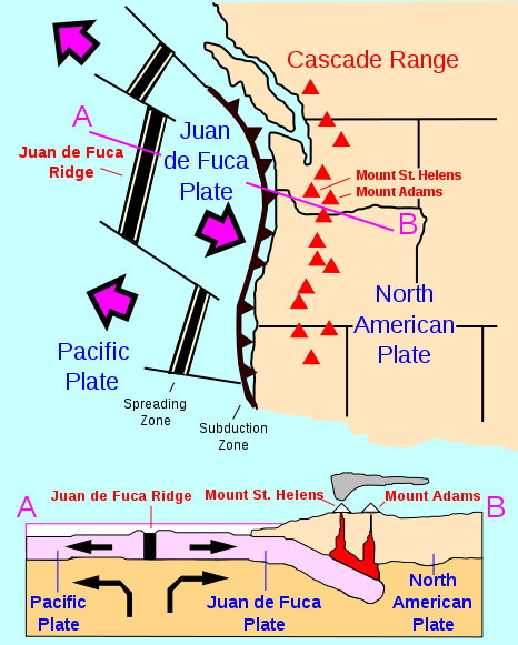 Sciency Thoughts: Eruptive activity on Axial Seamount.