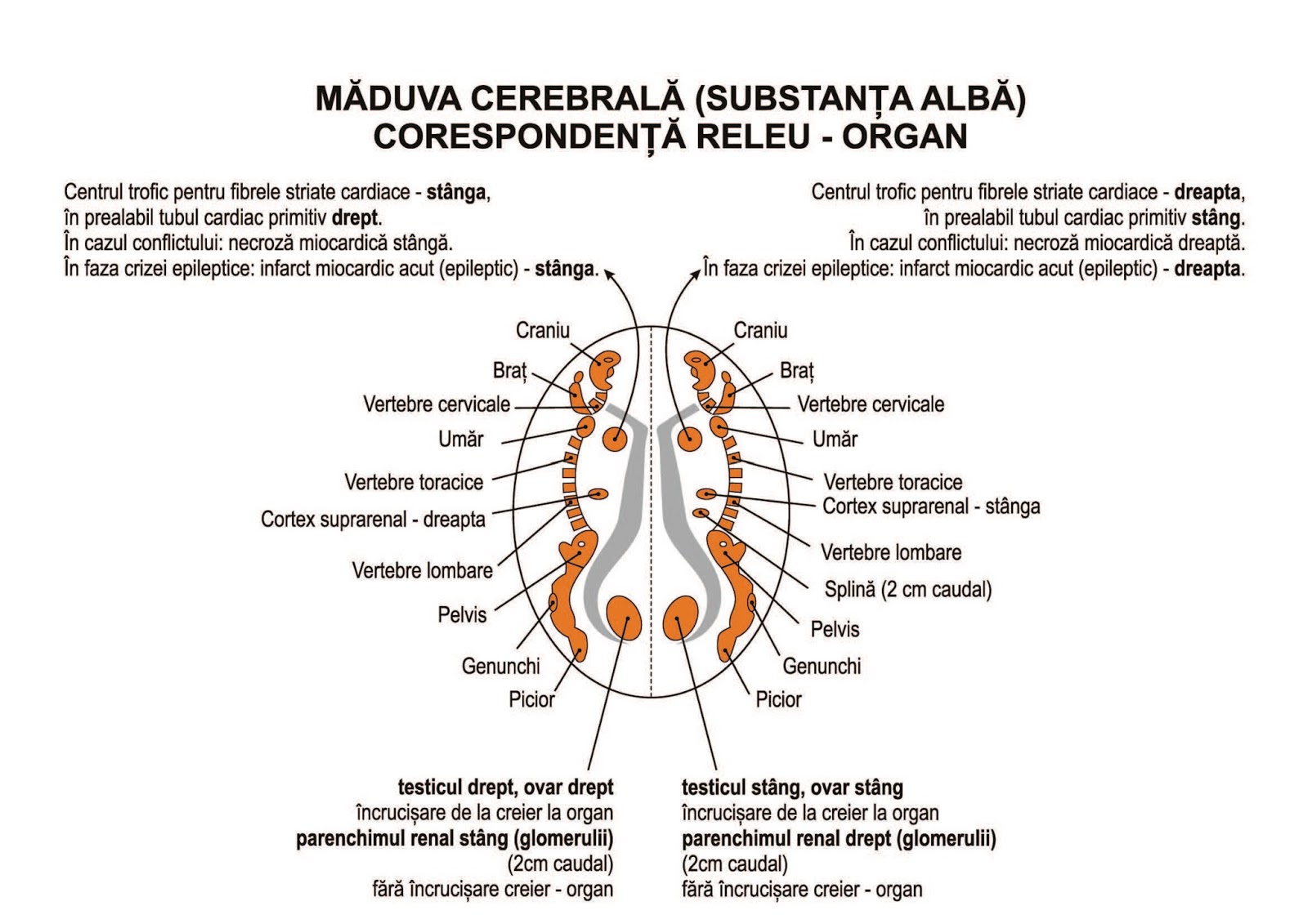 Autocunoasterea prin Constientizarea Sinelui: Cum sa facem o prezentare ...