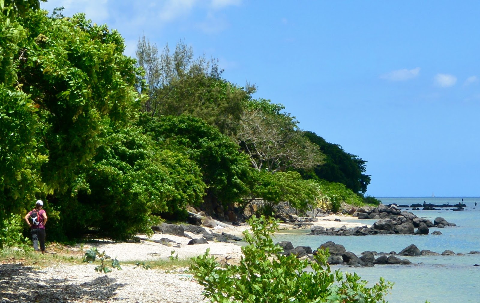 Randonnées le long de la côte Ile Maurice: ETAPE 4 : PORT LOUIS ...
