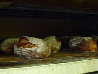 Web Design & Development in Western Massachusetts - Confluent Forms