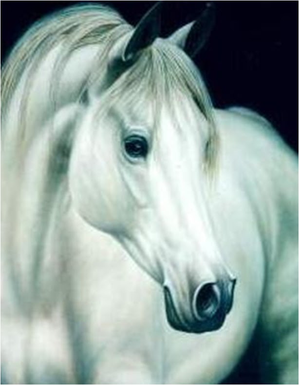 Mitos y Leyendas de Piura: Mitos y leyendas de Piura