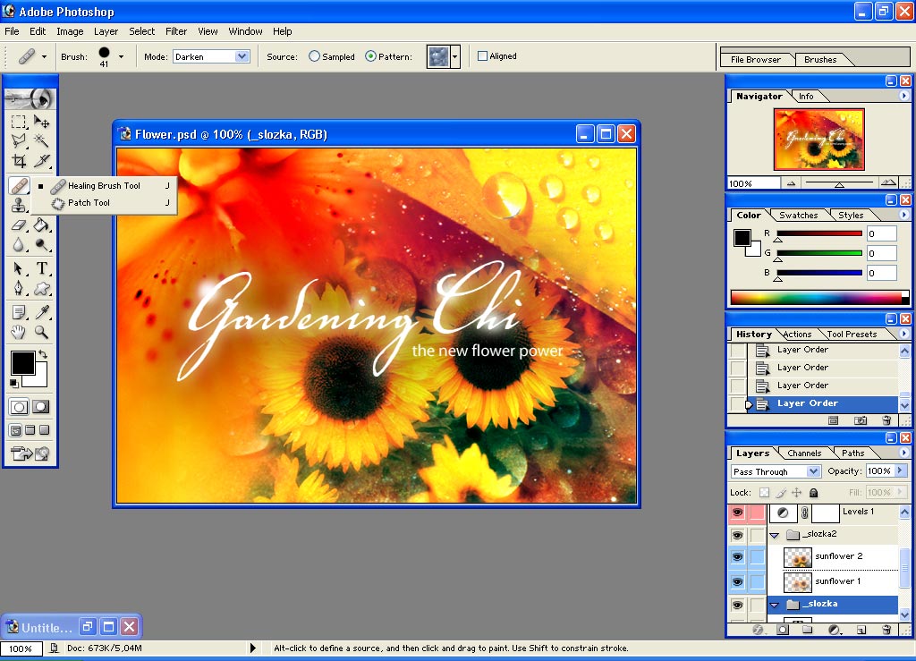 POGRAMADOR WEB: Programa Photoshop
