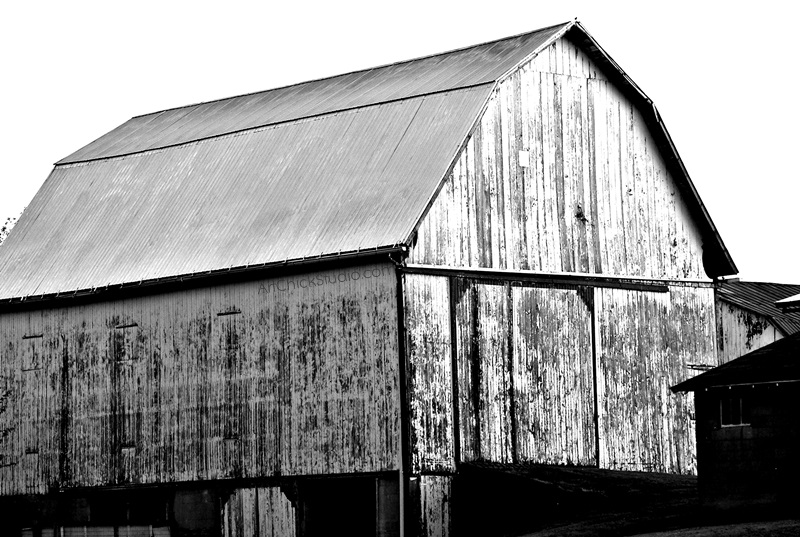 For the Love of Barns Digital Photos | Art Chick Studio