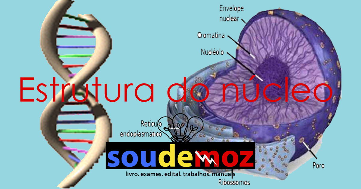Estrutura do núcleo