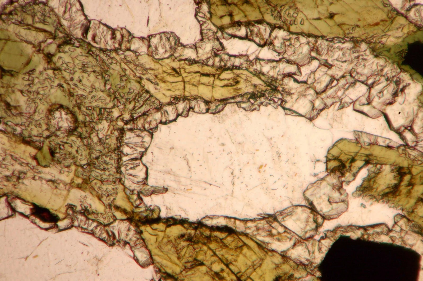 Metabasites: Epidote-rimmed albite and sieve-textured hornblende in ...