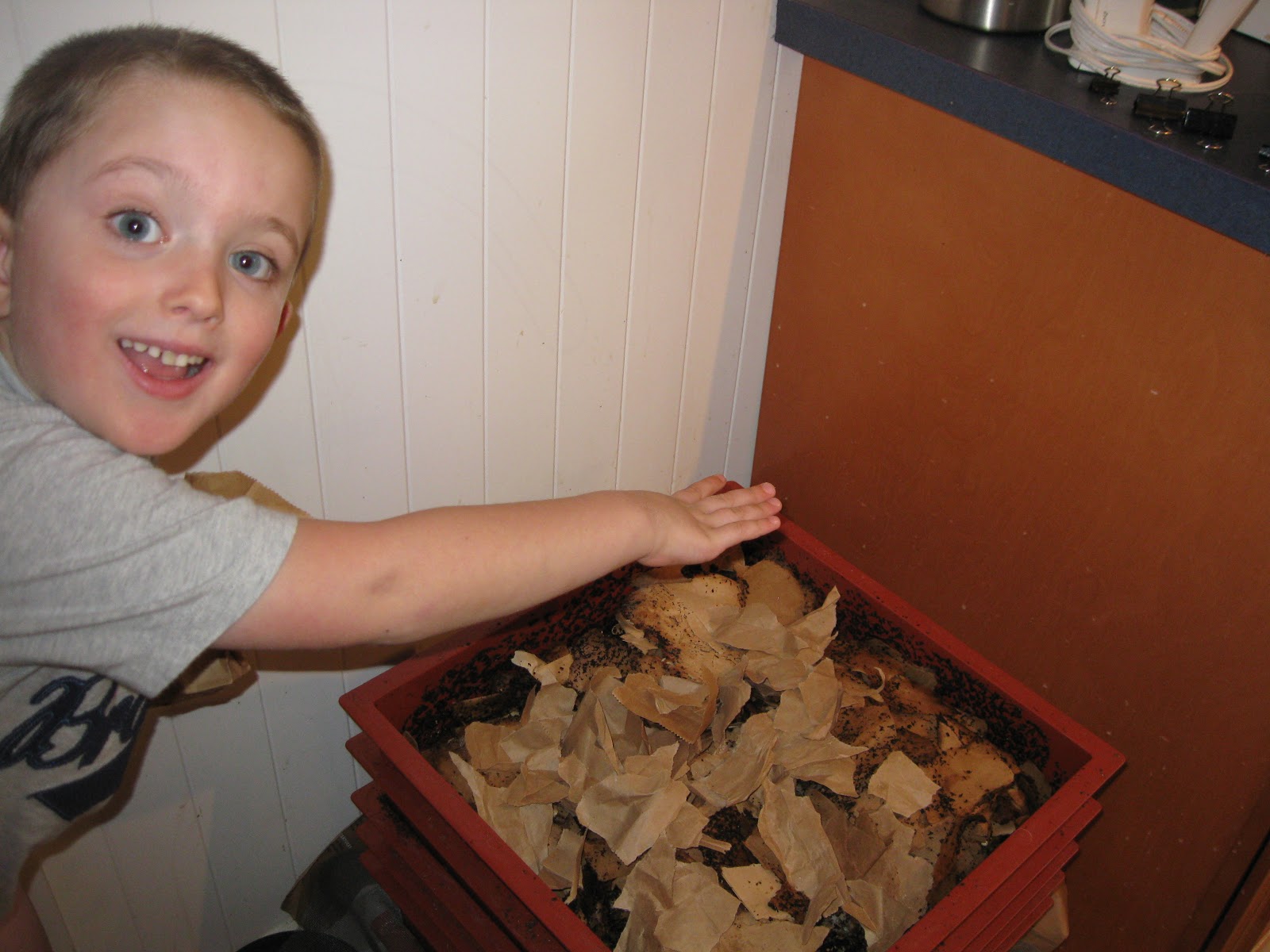 Homeschooling in Buffalo: Worm Farming Adventures