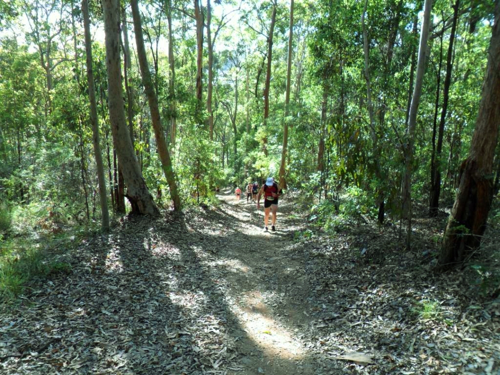 An Igorot Journey: Nerang State Forest (Gold Coast) 25km trail run