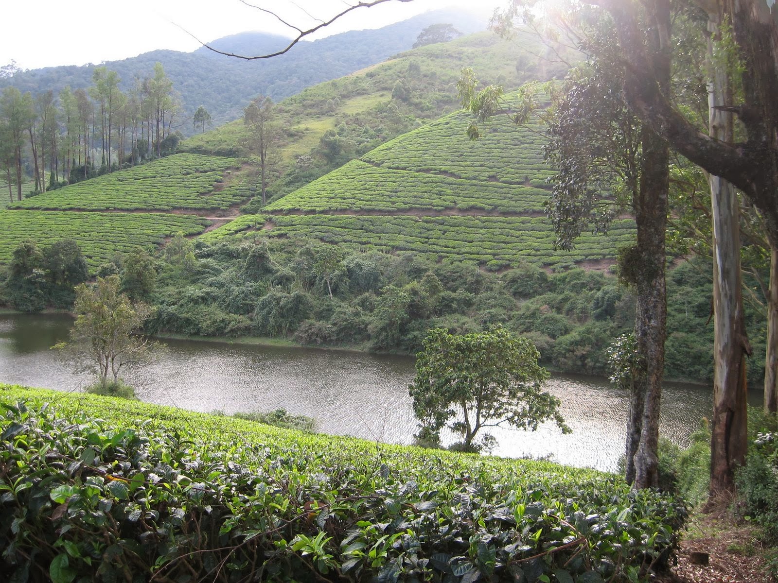 Tamilnadu Tourism: Megamalai