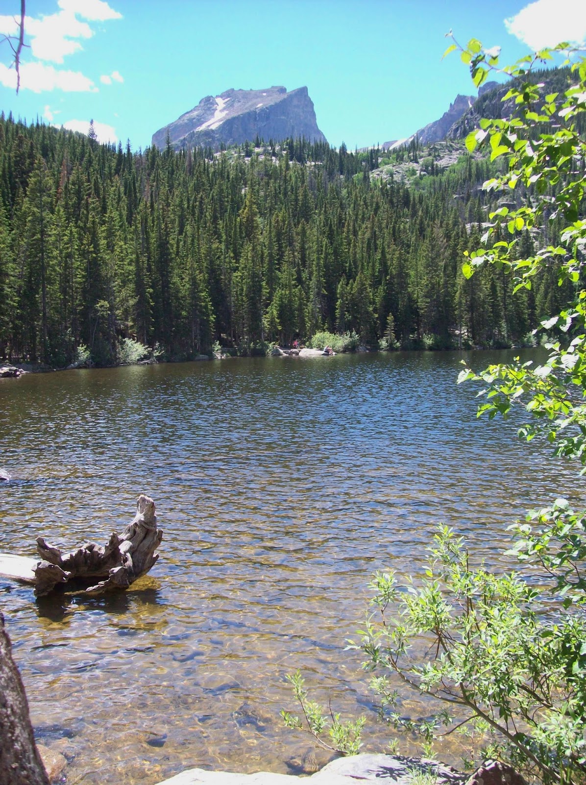 Critter Sitter's Blog: Seen From the Bear Lake Trail in Rocky Mountain ...