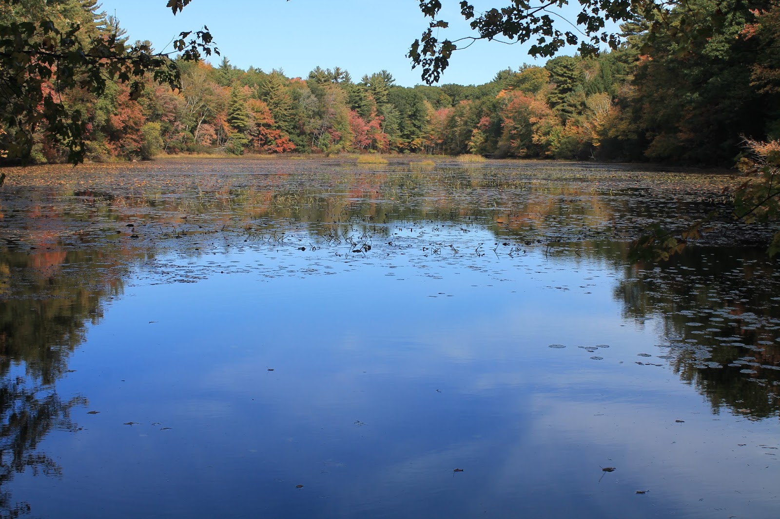 Bay Circuits: Bay Circuit Trail: Callahan State Park.