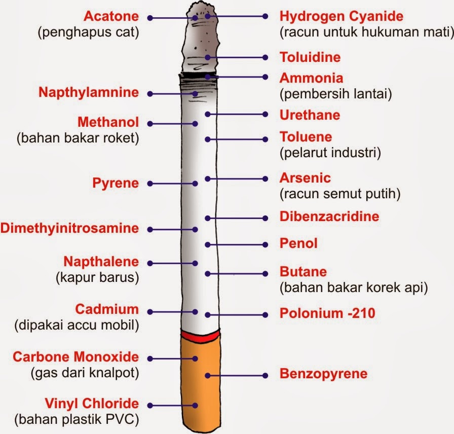 Tren Gaya 33+ Gambar Rokok Dan Kandungannya