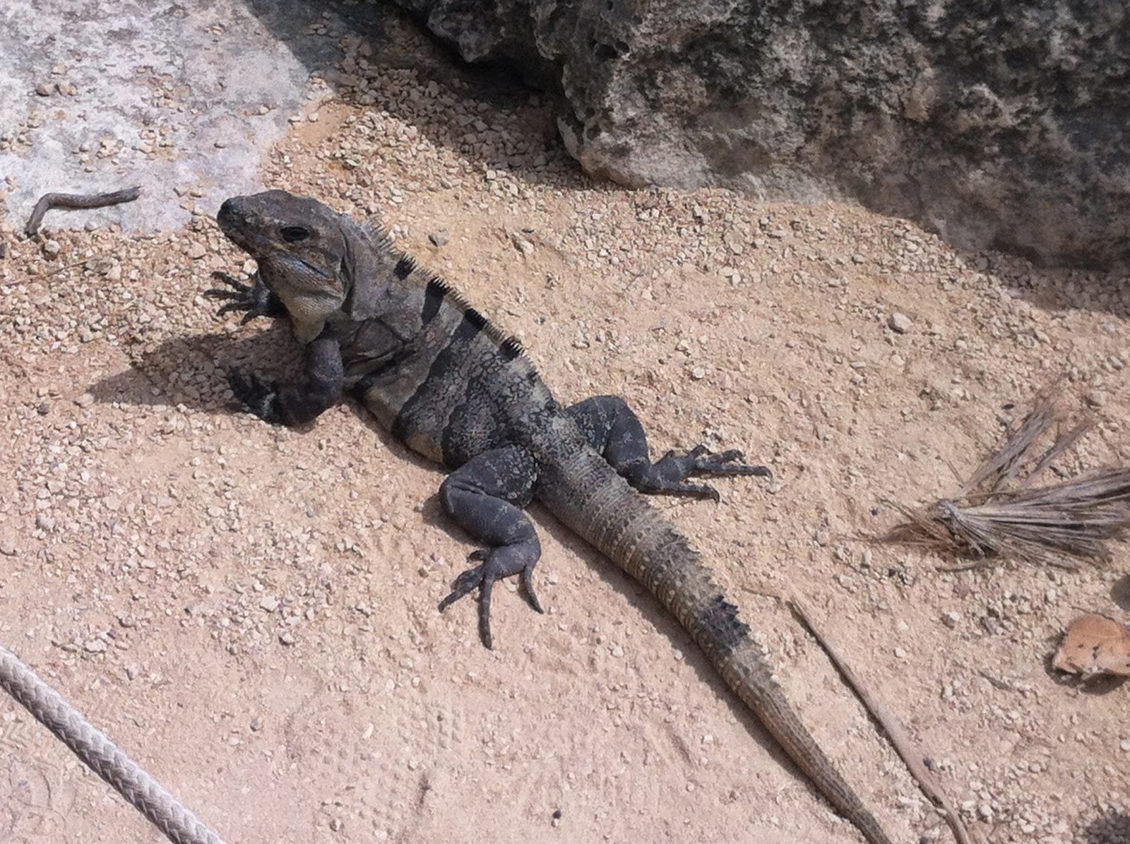 Mein Jahr in Los Cabos, Mexiko : Mexiko