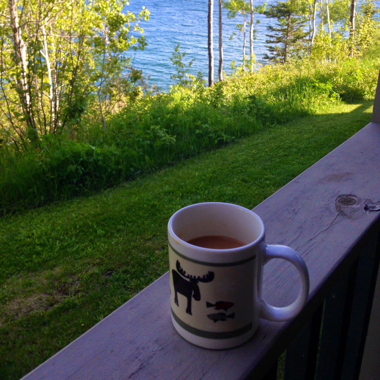 Rang: The Colours of Life.: Up North...