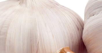 Garlic in ancient medicine