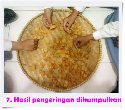 PembuatanSimplisiaTemulawak: Simplisia Temulawak