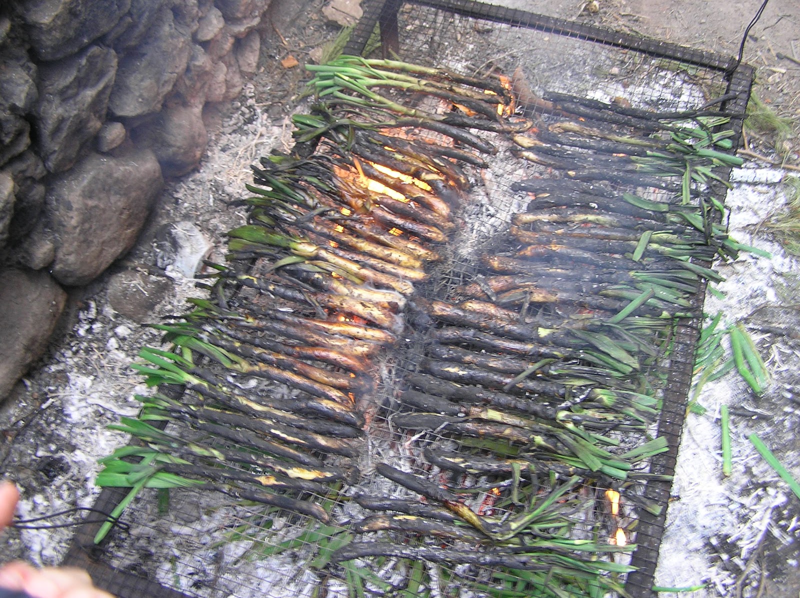 The Spanish Touch - private tours in Spain: Calçots Season - a Catalan ...