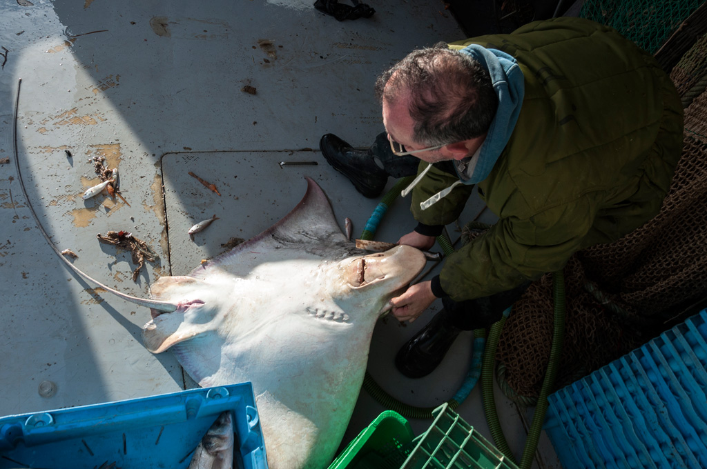 La pesca del Galan ~ Eder Pozo