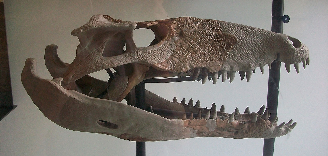 Escenarios prehistóricos: Sebecus