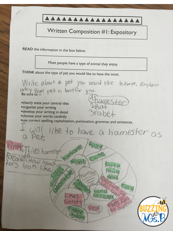 Scaffolding expository writing for struggling writers - Buzzing with Ms. B