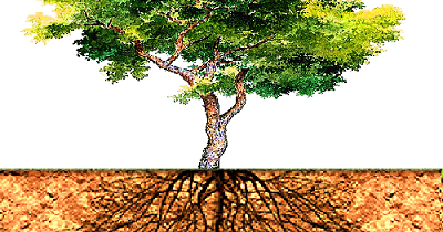 每日中文 Daily Zhongwen: Chinese characters with radical Tree (木 Mù) - HSK ...