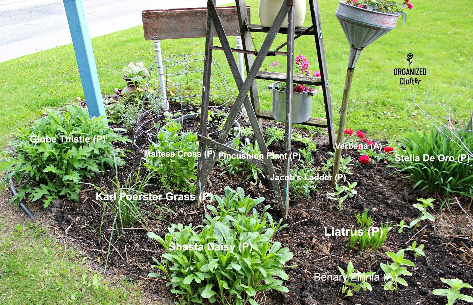 Planting The Junk Garden Border 2017 - Organized Clutter