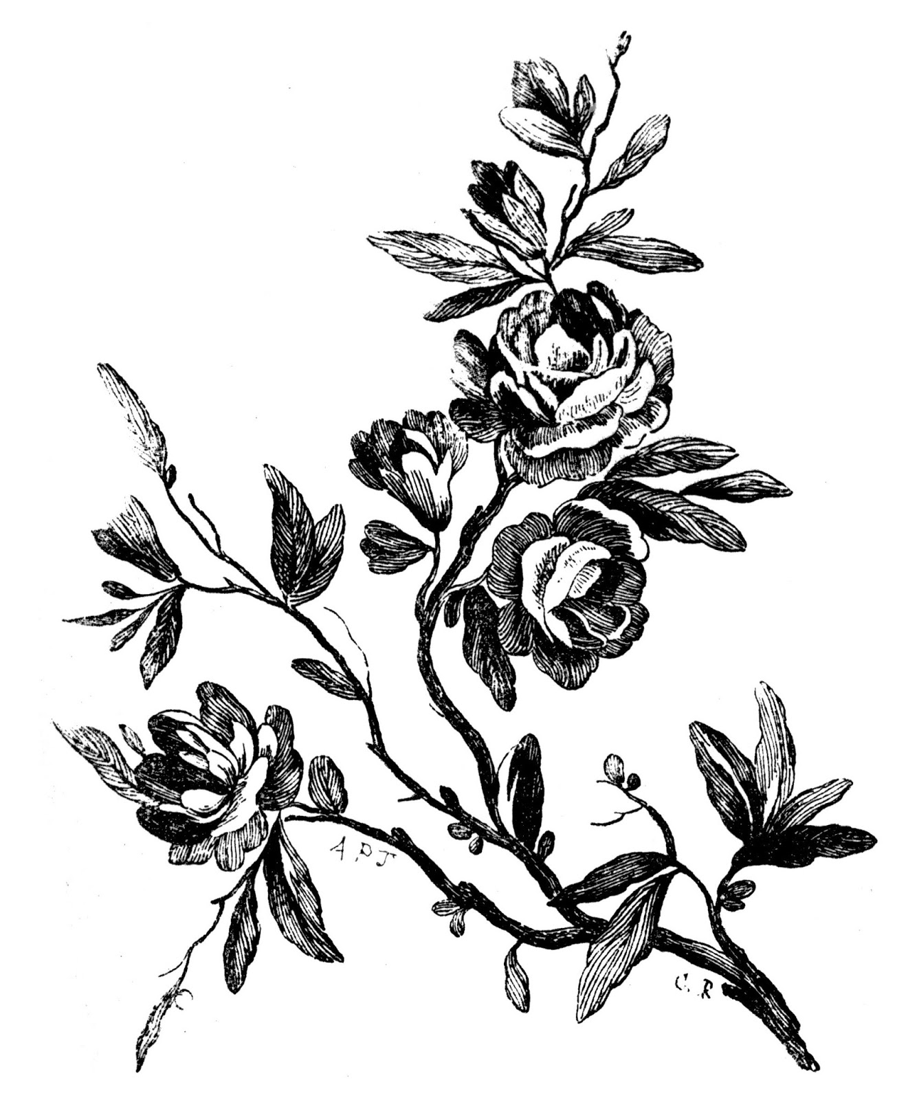 Vintage Tlc: Free Vintage Image Transfer, Roses........