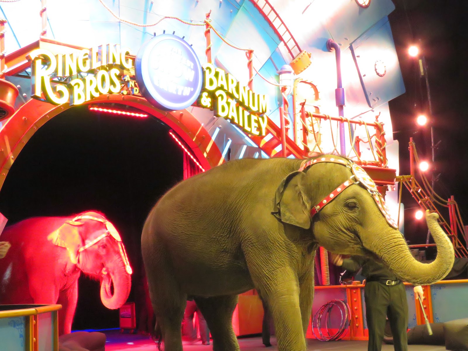 The Husker Family: Circus!