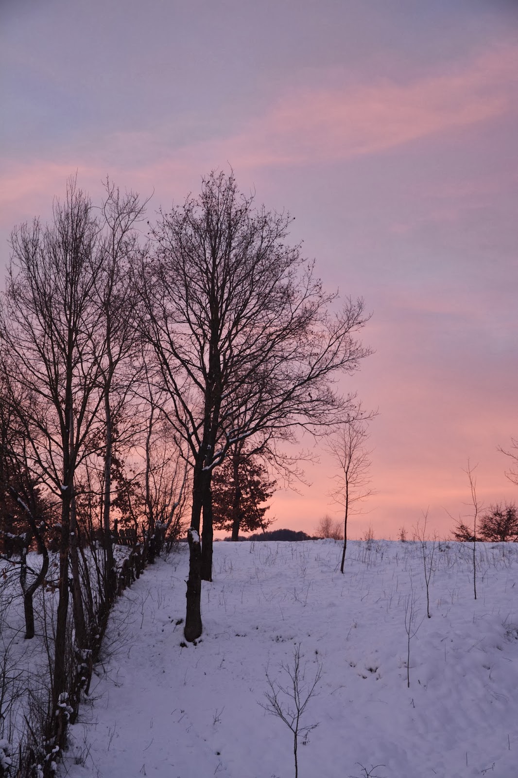 TUDOR PHOTO BLOG: Botiza-Rasarit de Soare Iarna,Winter Sunrise ...