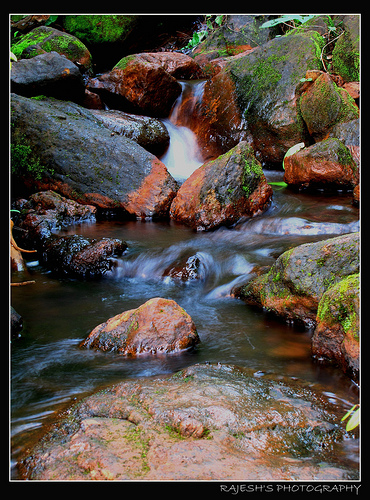 Way to your dream place: Poomala Dam