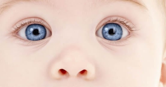 Anisometropia Symptoms, Causes, Treatment, Glasses - Health Care Tips ...