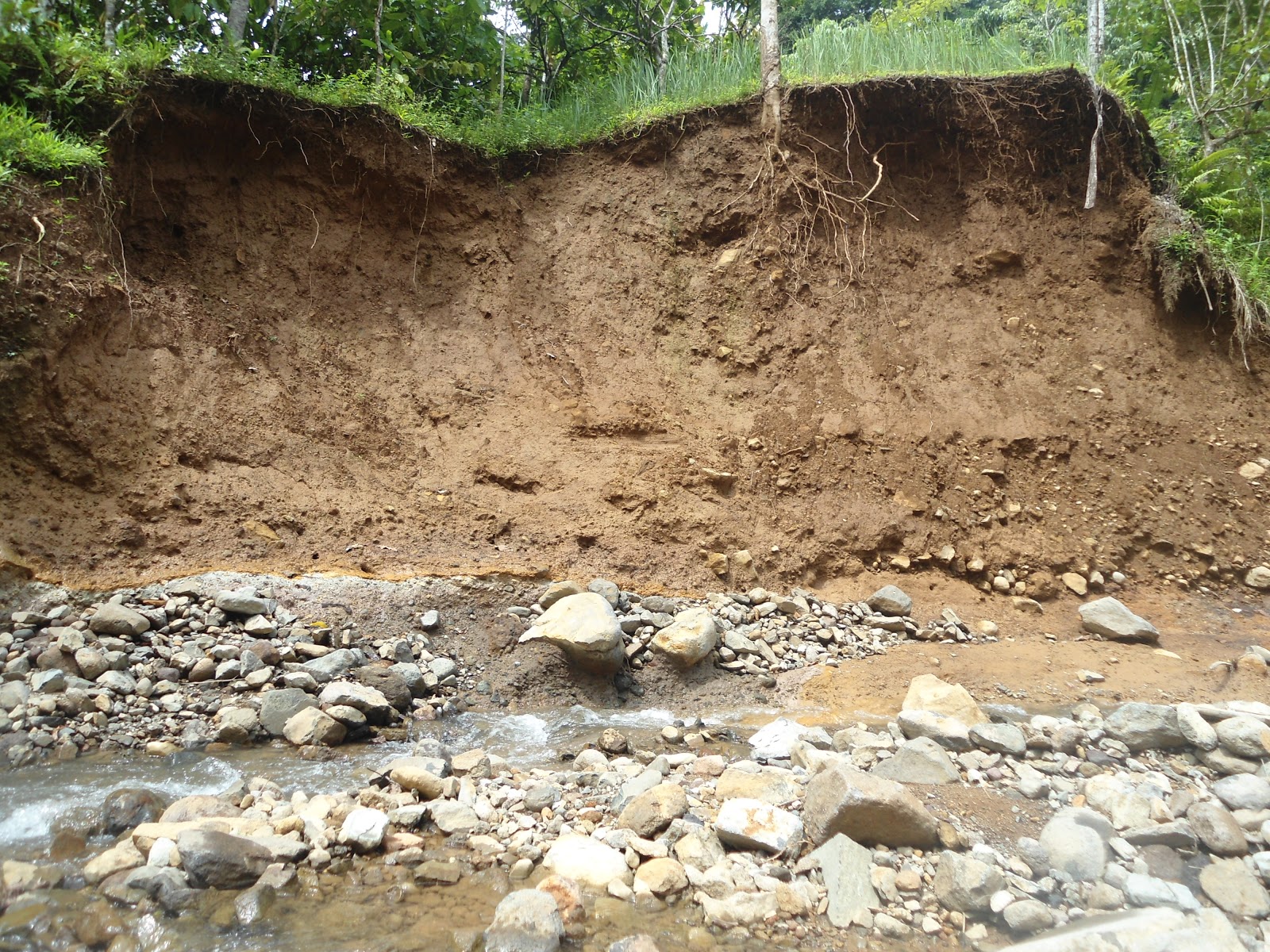 Geography: Jenis- Jenis Longsor