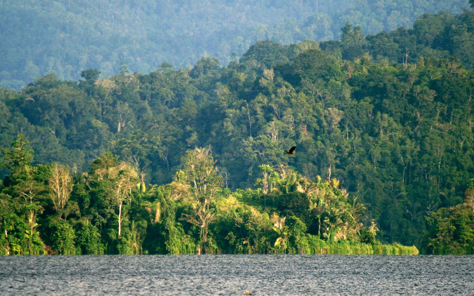 Tourims Place: Lore Lindu National Park